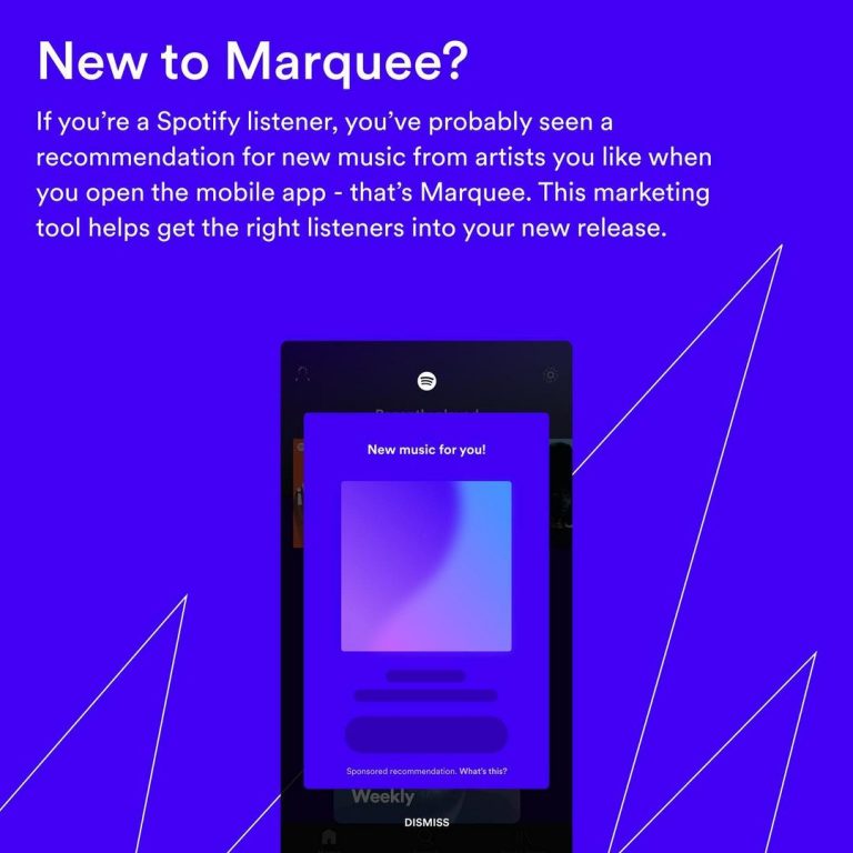 Spotify Marquee Reveals New Study - Label Engine News